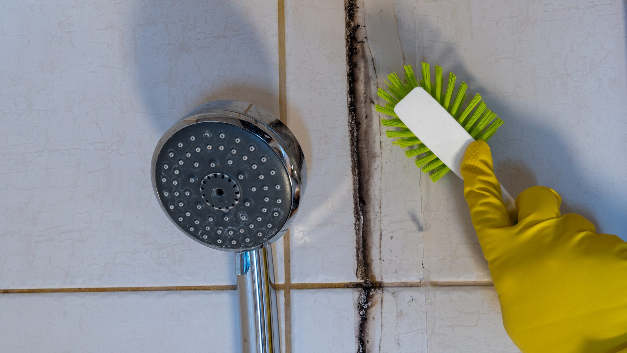 Sparkling Spaces Cleaning Services